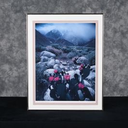 Muench,-David-Mt.-San-Jacerito,-California-Print-Copper-Colored-Metal ...