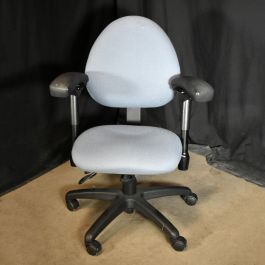 Damaged-ErgoGenesis-BodyBilt-J756-Petite-Office-ChairDamaged ...