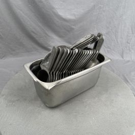 Thirty-(30)-Ice-Scoops