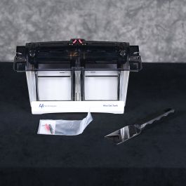 Life-Technologies-Mini-Gel-Tank-Electrophoresis-System