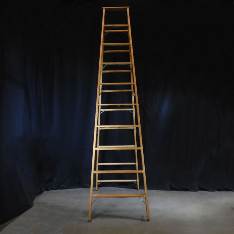Michigan-Ladder-Co.-132010-Stepladder-Natural-Colored-Wood-Type-IA-300 ...