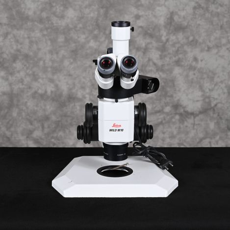 Leica/Wild-M10-Stereo-Zoom-Microscope
